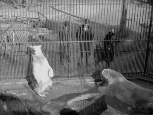 Veckorevy 1921-03-18 1921 / 23 min